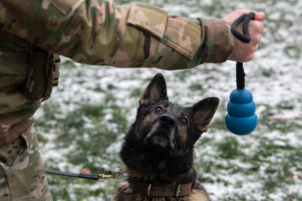 DVIDS - Images - Snow or shine: MWD training never stops [Image 9 of 11]