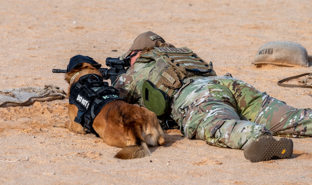 DVIDS - Images - 378th ESFS K9 training at the PSAB firing range [Image ...