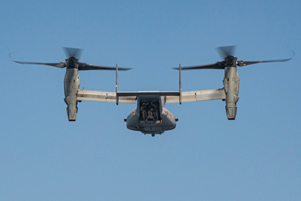 DVIDS - Images - MSRON 8 supports Exercise Bull Shark [Image 6 of 12]