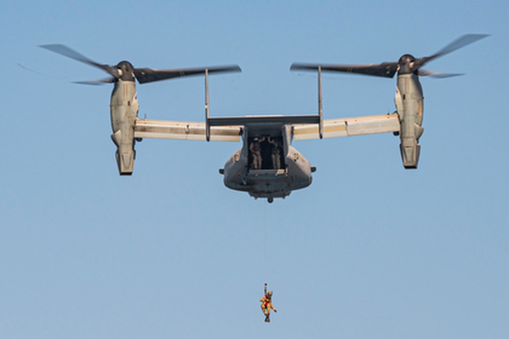 DVIDS - Images - MSRON 8 supports Exercise Bull Shark [Image 7 of 12]