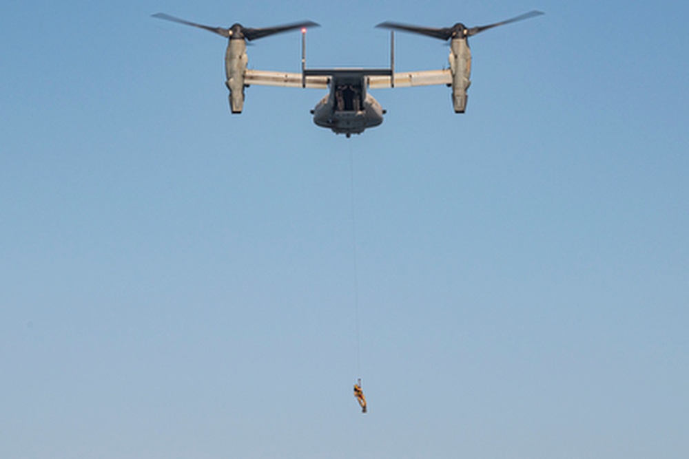 DVIDS - Images - MSRON 8 supports Exercise Bull Shark [Image 8 of 12]