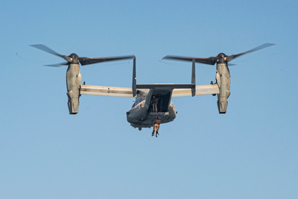 DVIDS - Images - MSRON 8 supports Exercise Bull Shark [Image 10 of 12]