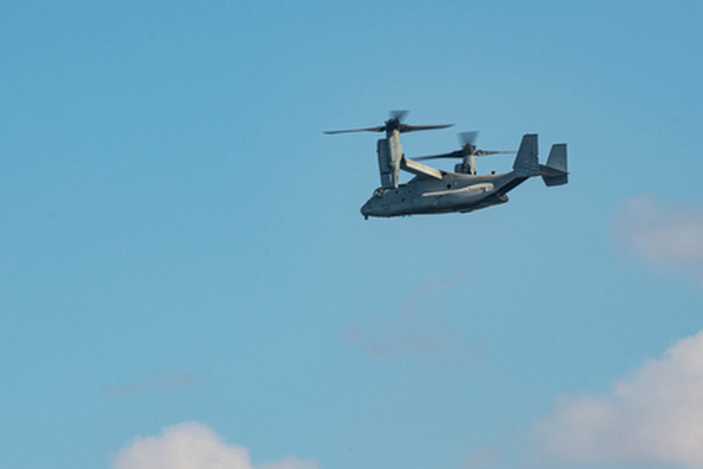 DVIDS - Images - MSRON 8 supports Exercise Bull Shark [Image 12 of 12]