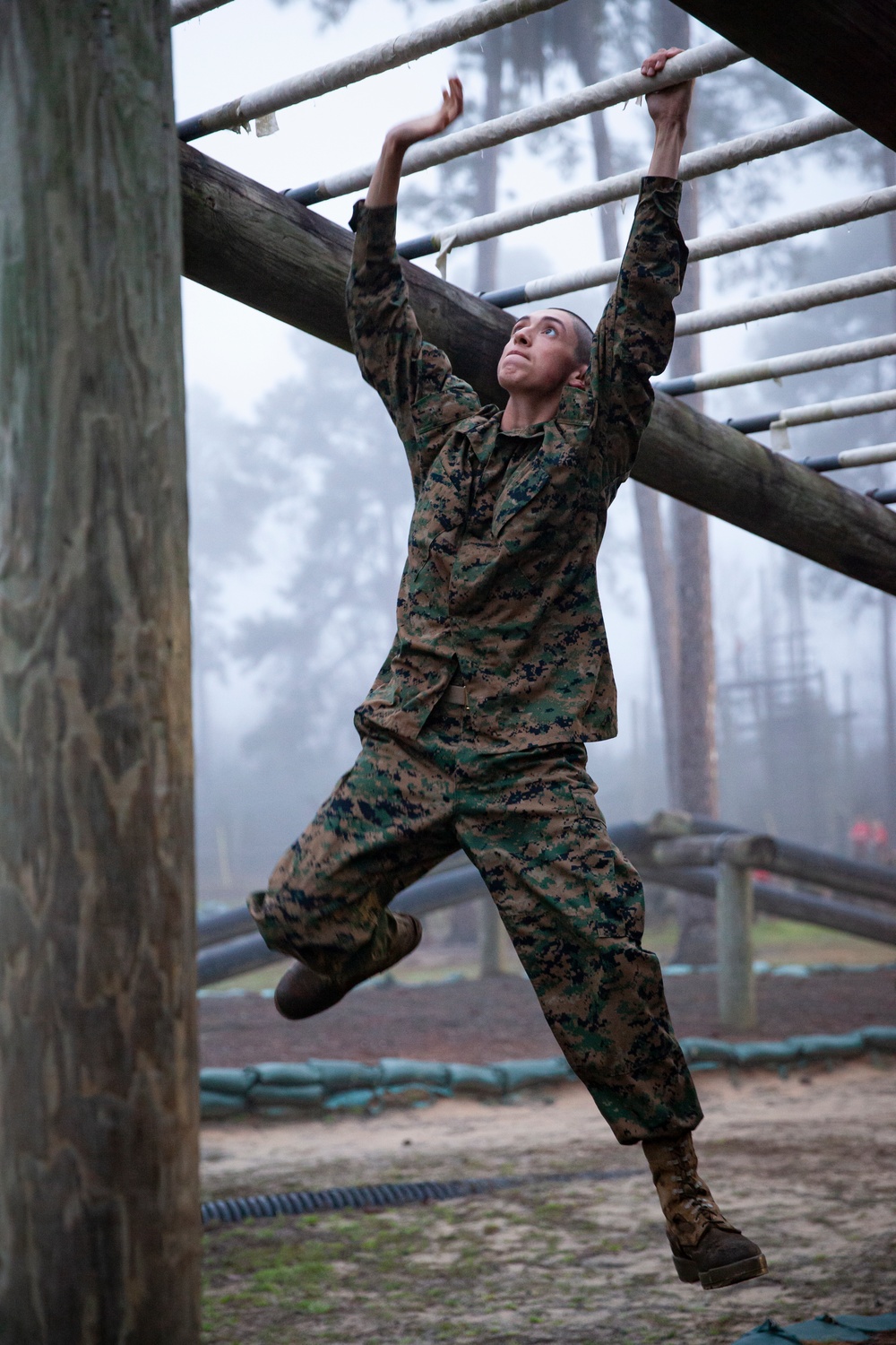 DVIDS - Images - Delta Company Confidence Course [Image 2 of 25]