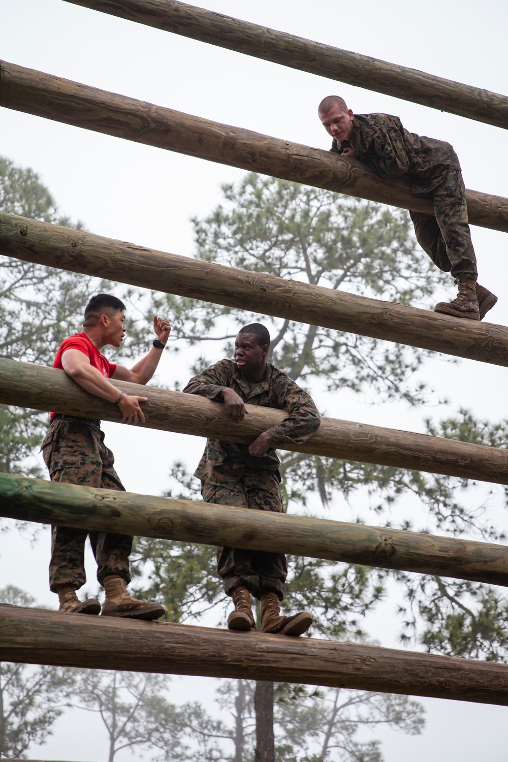 DVIDS - Images - Delta Company Confidence Course [Image 17 of 25]