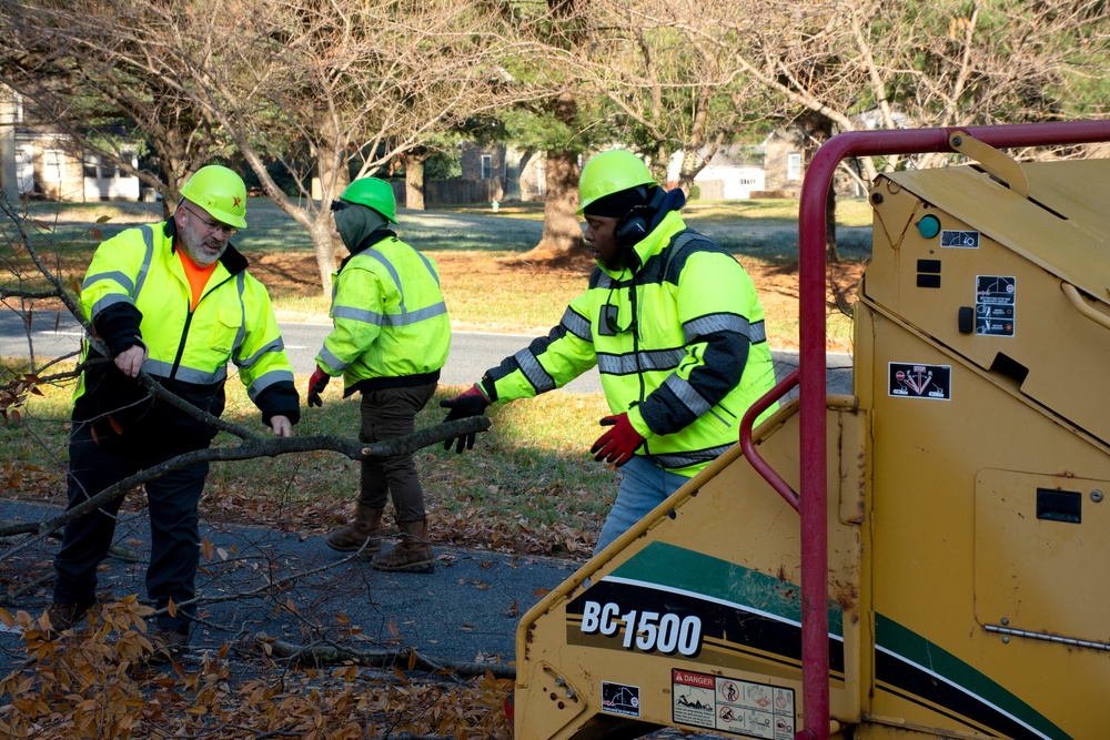 DVIDS - Images - APG storm cleanup efforts