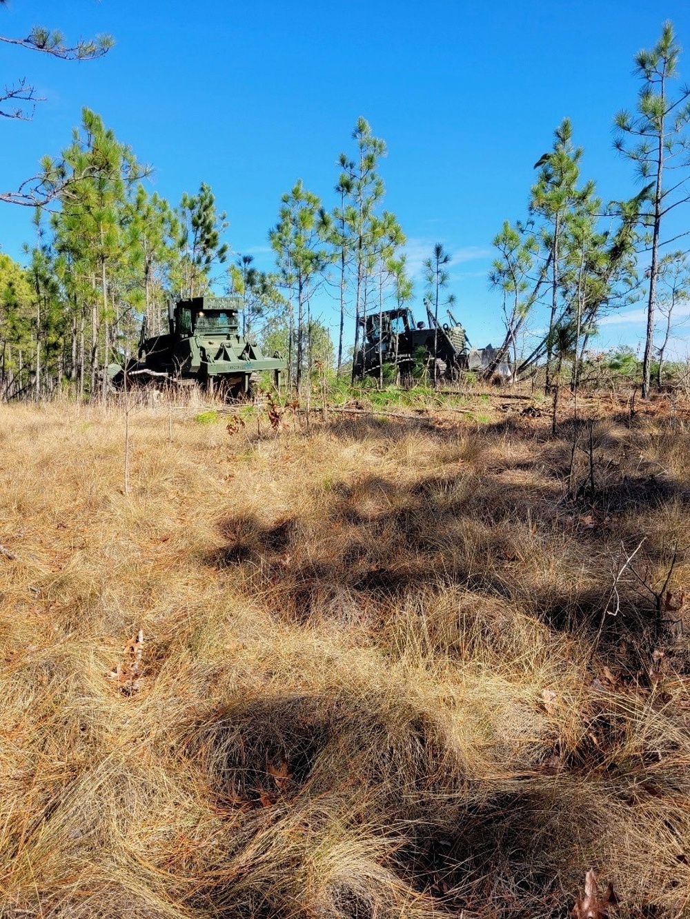 DVIDS - Images - Collaborative efforts help restore training land ...