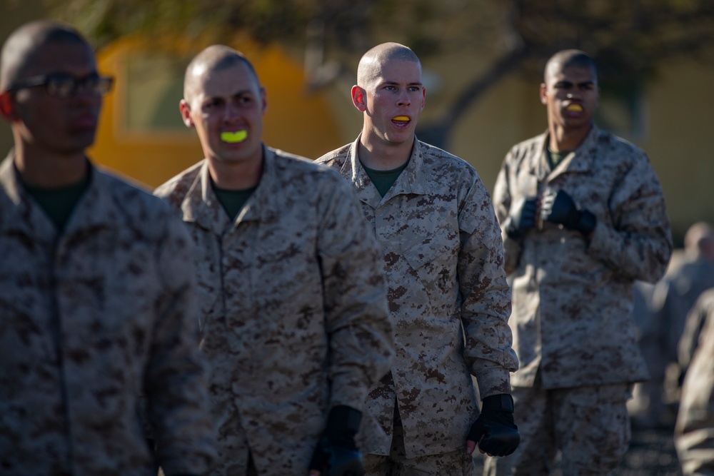 DVIDS - Images - Golf Company MCMAP Test [Image 4 of 14]