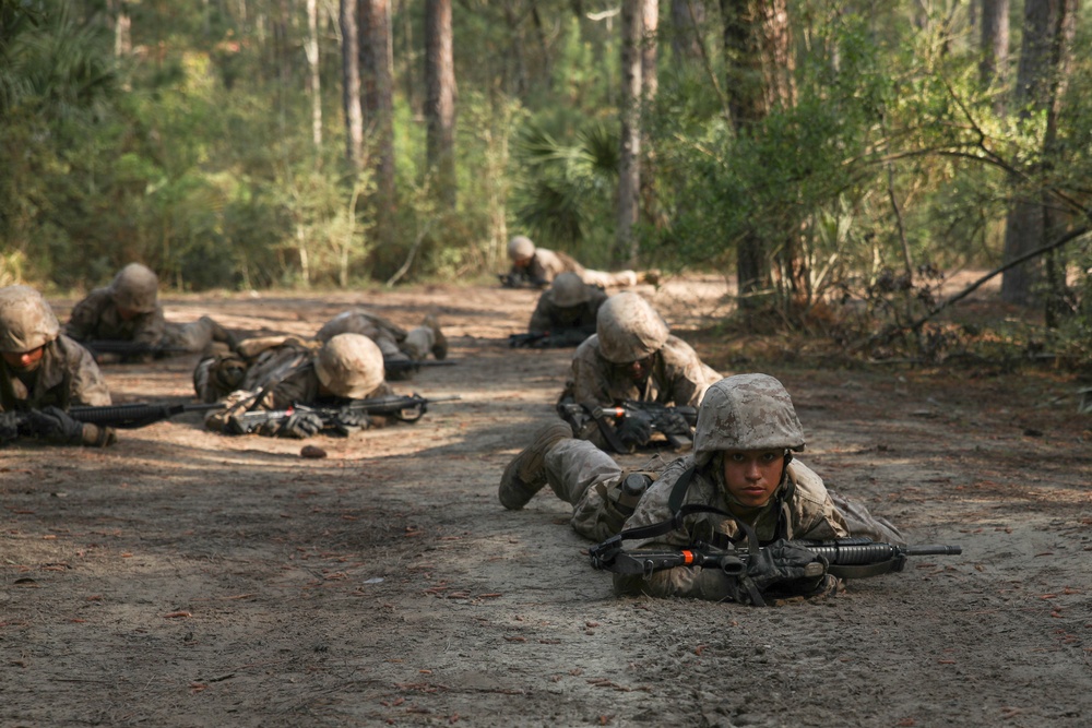 DVIDS - Images - Lima Company Crucible [Image 4 of 7]