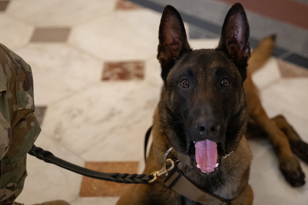 DVIDS - Images - CT Guard Working Dog Detachment Honored During K9 ...