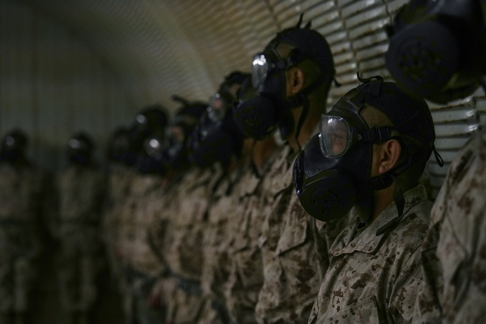 DVIDS - Images - Fox Company Confidence Chamber [Image 3 of 19]
