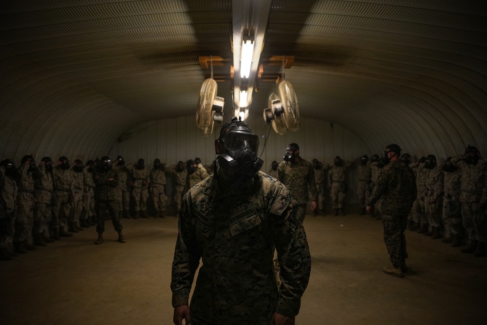 DVIDS - Images - Fox Company Confidence Chamber [Image 16 of 19]