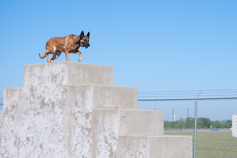 DVIDS - Images - Schertz Young Leaders Group JBSA-Randolph Base Tour ...