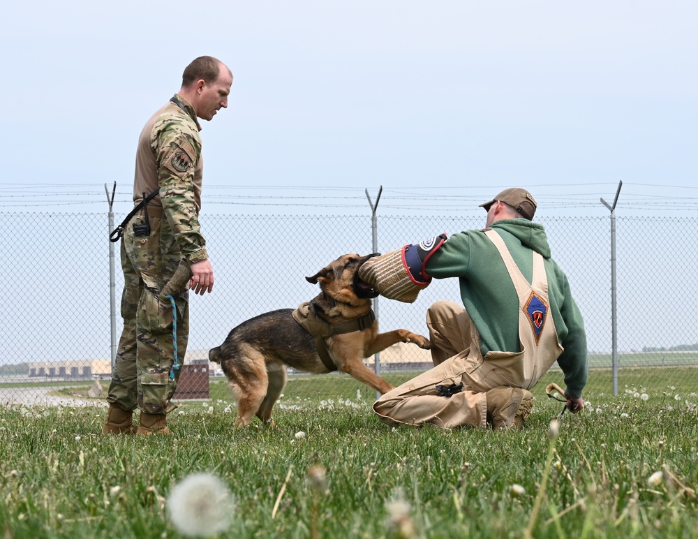 DVIDS - Images - 509th SFS Military Working Dog [Image 2 of 18]