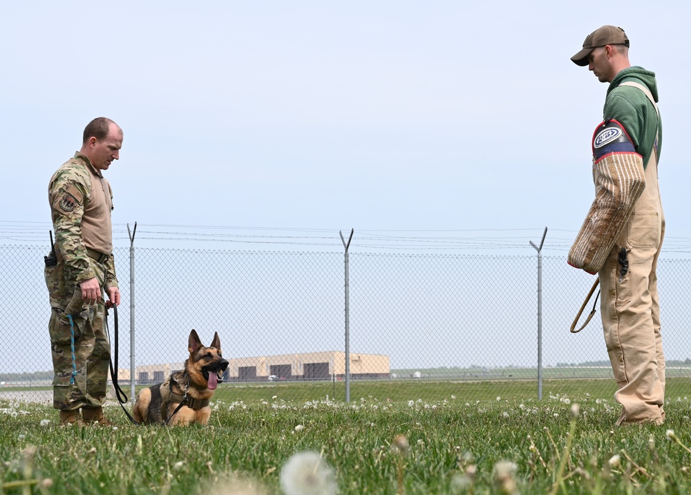 DVIDS - Images - 509th SFS Military Working Dog [Image 6 of 18]
