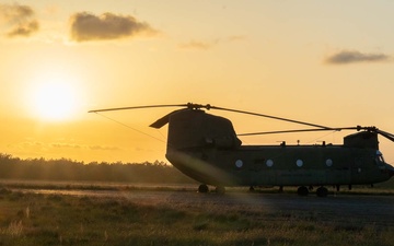 DVIDS - 7th Special Forces Group (Airborne)