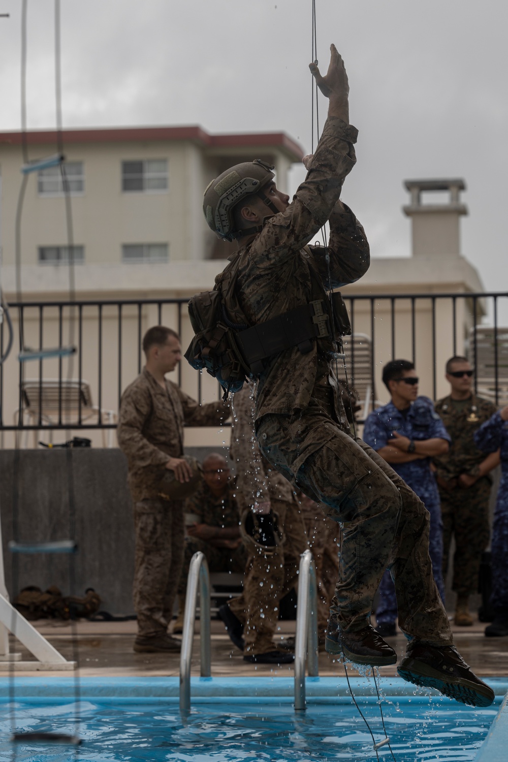 DVIDS - Images - Sink or Swim: 31st MEU Water Competency Evaluation ...