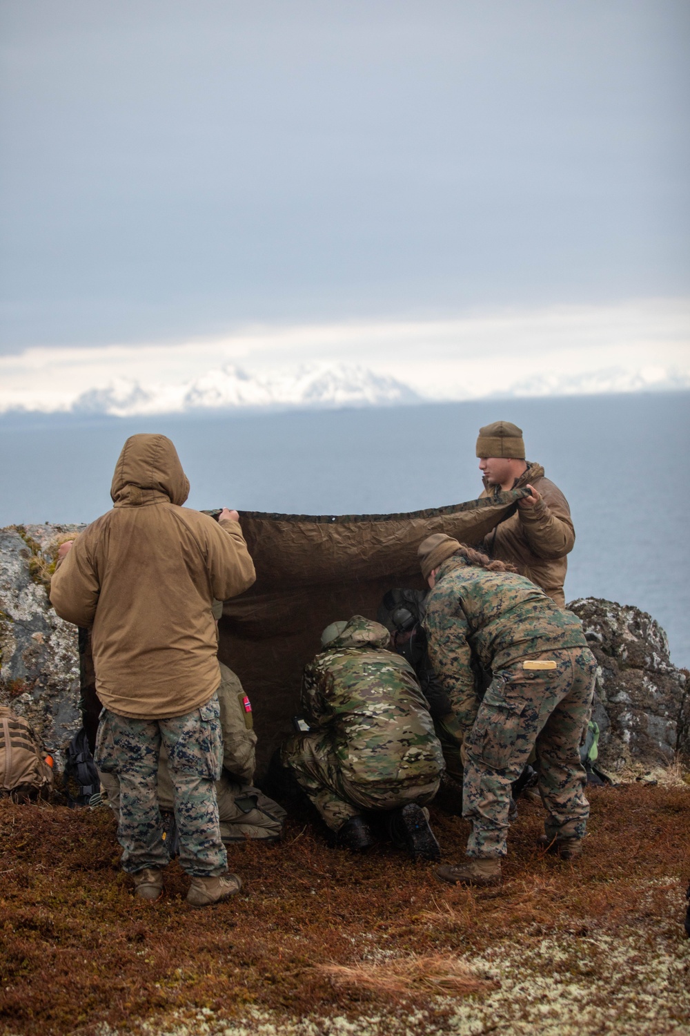 DVIDS - Images - Norwegian, U.S. personnel work together during ...