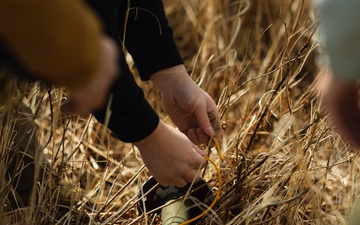 DVIDS - III MEF Information Group