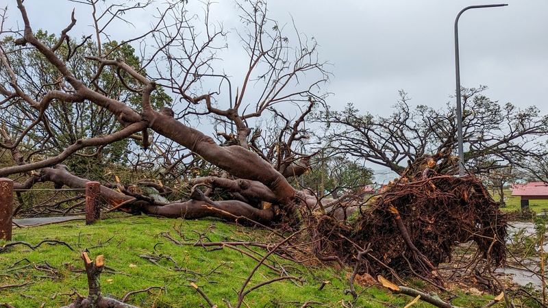 DVIDS - Federal Emergency Management Agency