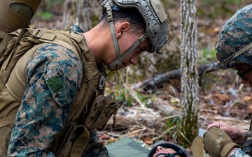 DVIDS - Marine Forces, Special Operations Command