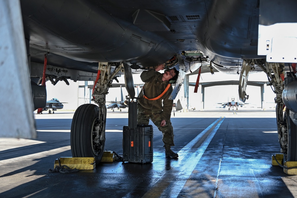 DVIDS - Images - Bold Tigers 2022