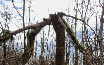 DVIDS - Marine Corps Base Camp Blaz