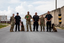 KFOR Veterinary team keeps animals and Soldiers safe