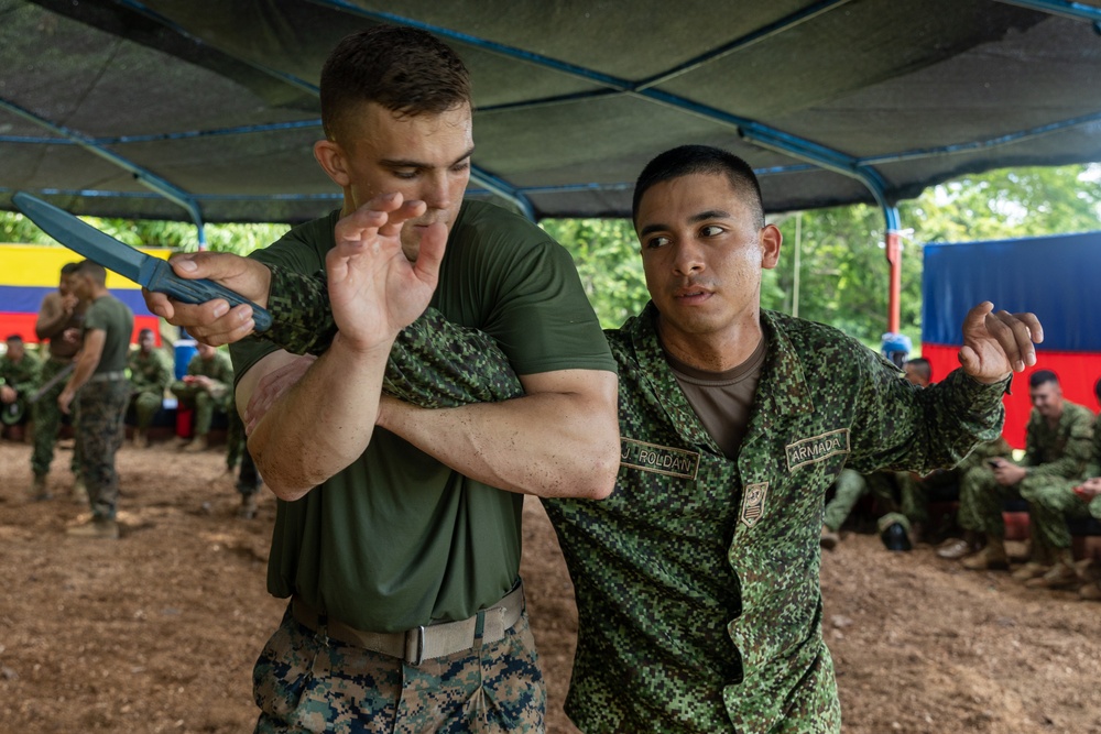 DVIDS - Images - UNITAS 2023: MCMAP [Image 4 of 8]