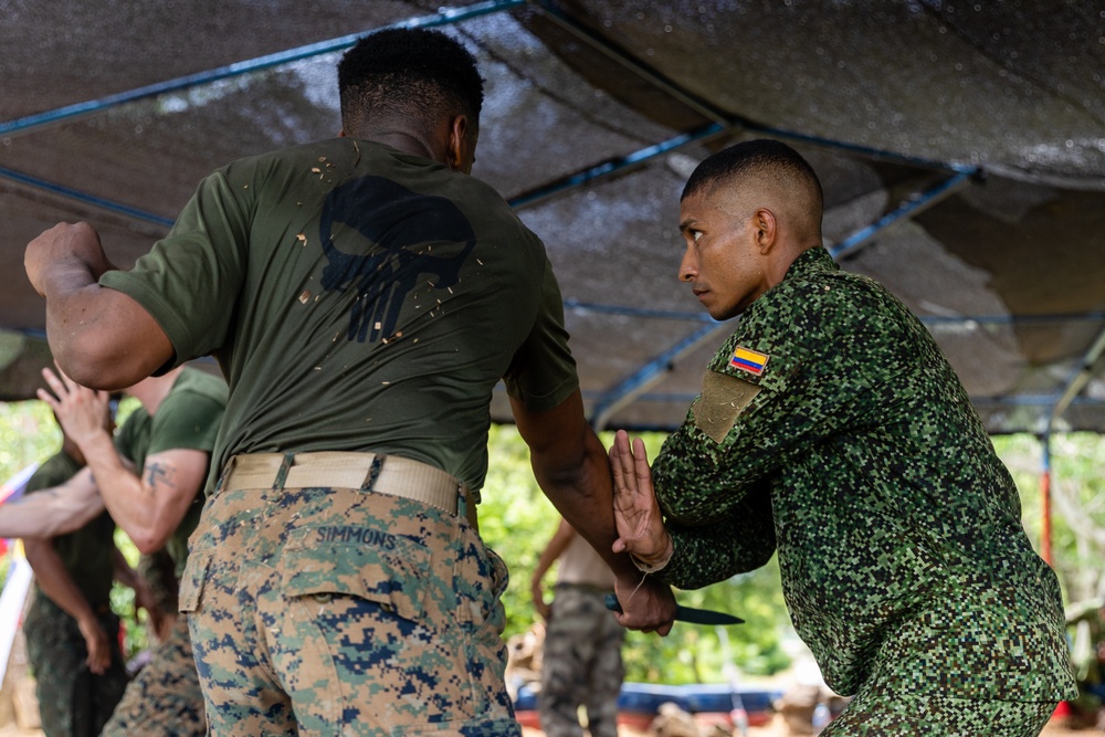 DVIDS - Images - UNITAS 2023: MCMAP [Image 8 of 8]