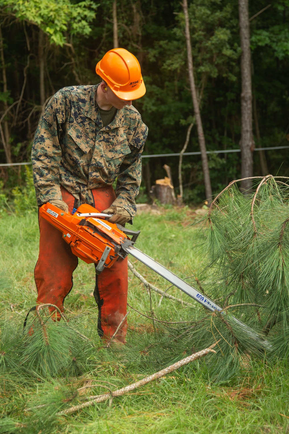 DVIDS - Images - MWSS 273 Combat Engineers tree felling exercise [Image ...