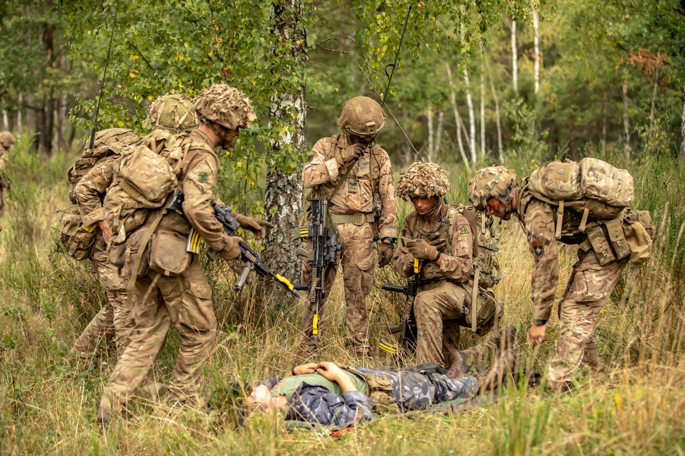 Dvids Images Task Force Ivy Soldiers Multinational Troops