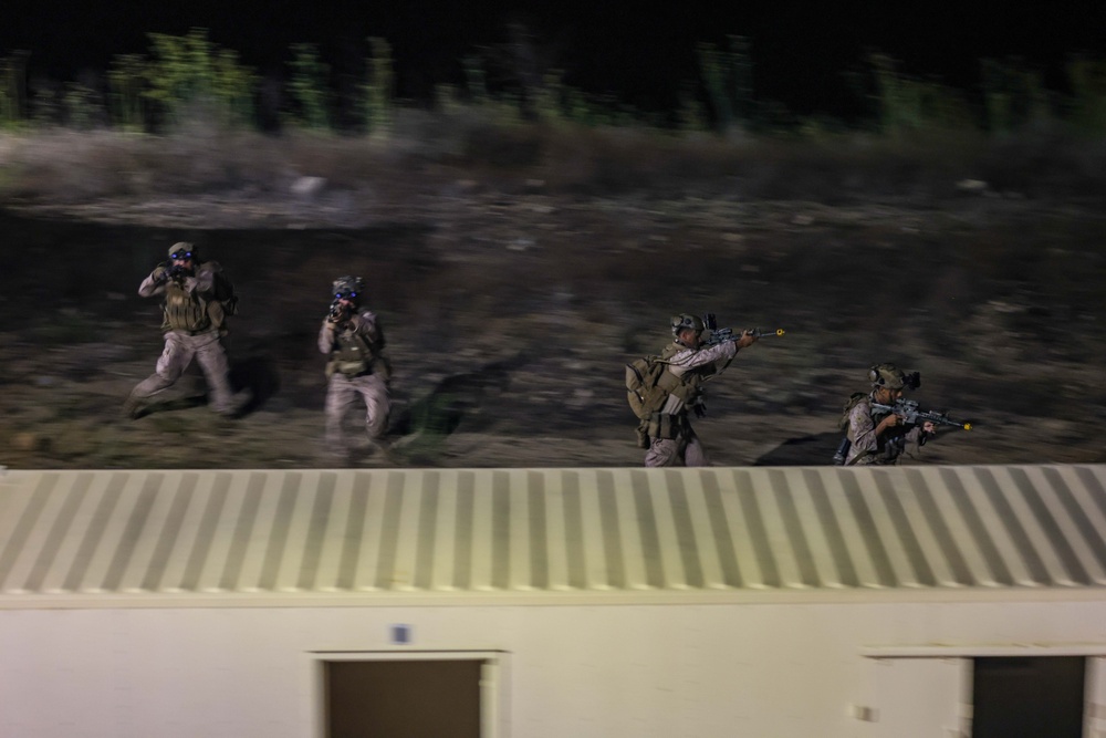 DVIDS - Images - BLT 1/5 Conducts Amphibious Raid during RUT [Image 1 of 5]