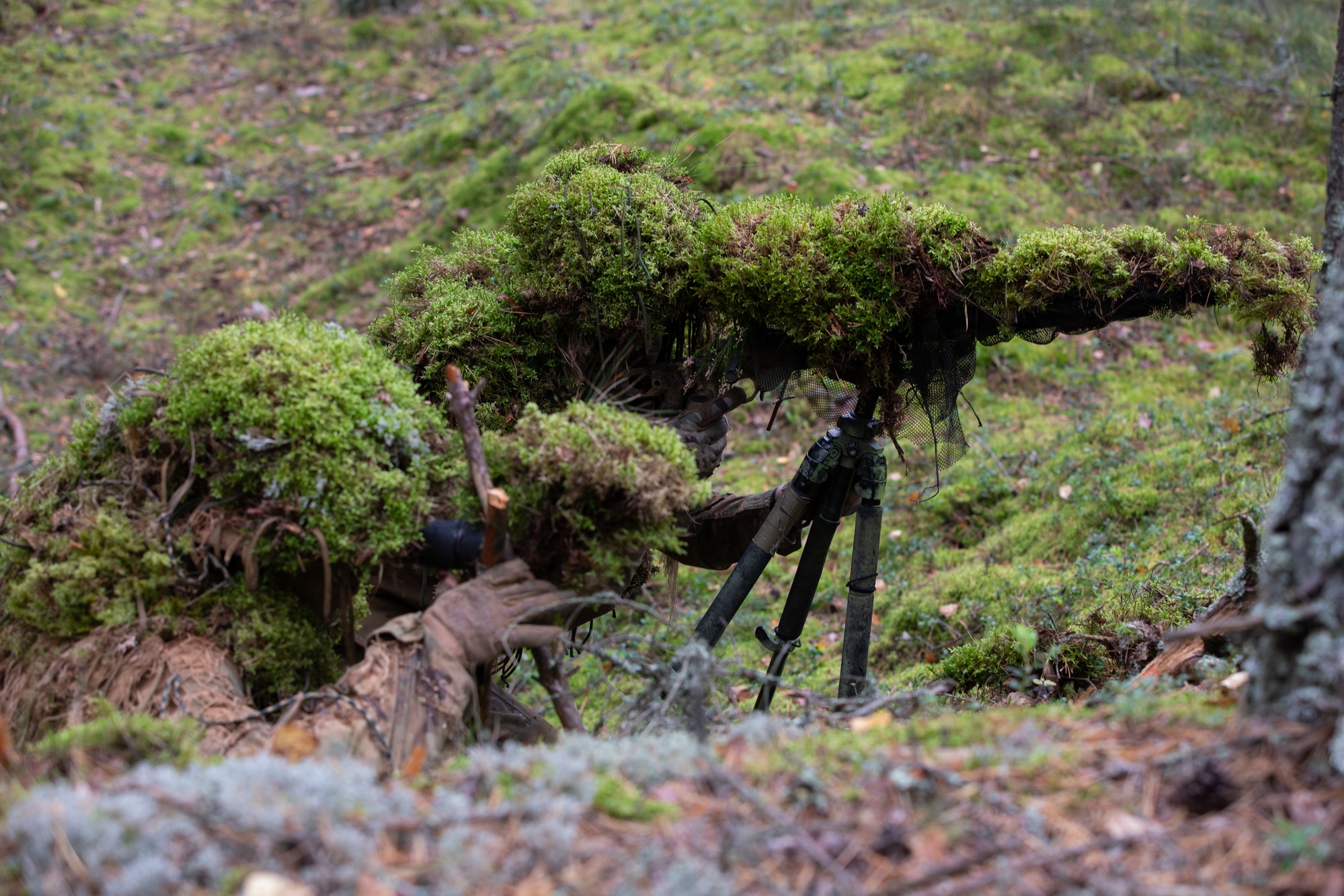Find The Sniper Rocks