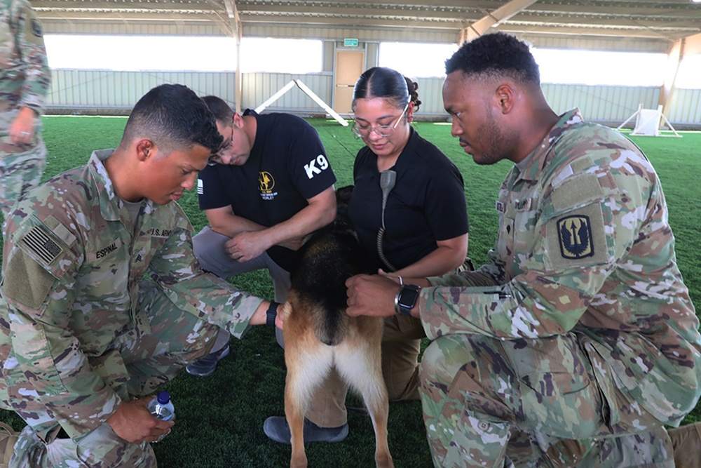 DVIDS - Images - 185th AVN BDE medics conduct Military Working Dog ...