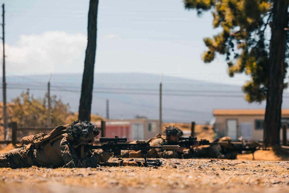 DVIDS - Images - 3d LCT conducts Battle Drills at PTA [Image 3 of 4]