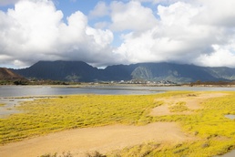 Marine Corps Base Hawaii and Paepae o He’eia Nu’upia Ponds Wildlife ...