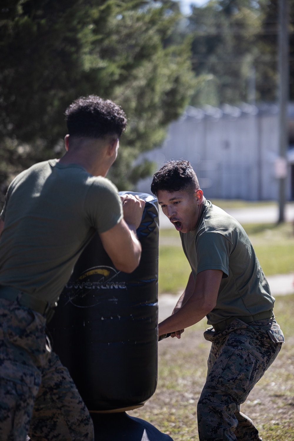 DVIDS - Images - BLT 1/8 Marines Conduct OC Spray Course [Image 3 of 14]