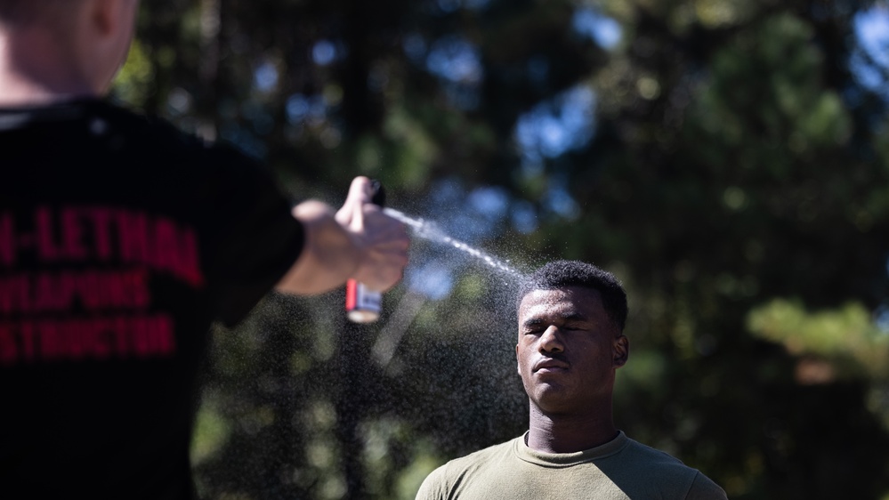 DVIDS - Images - BLT 1/8 Marines Conduct OC Spray Course [Image 14 of 14]
