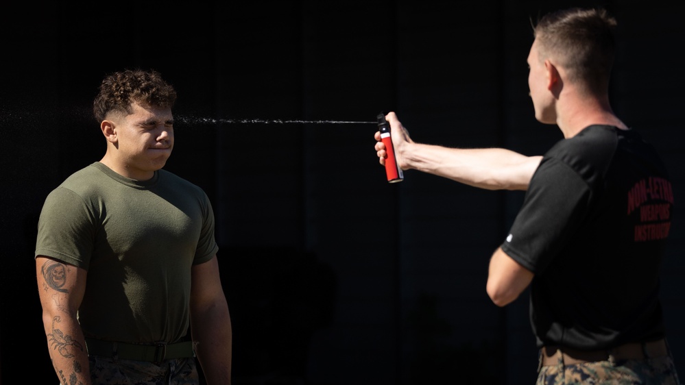 DVIDS - Images - BLT 1/8 Marines Conduct OC Spray Course [Image 8 of 22]