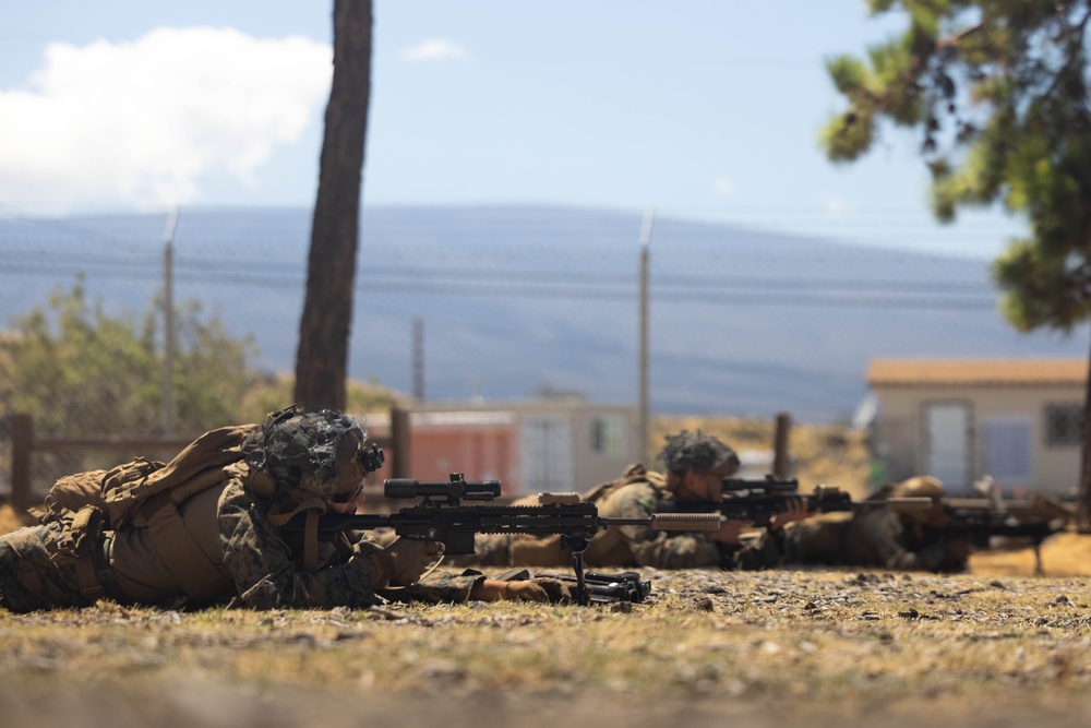 DVIDS - Images - 3d LCT conducts Battle Drills at PTA [Image 3 of 4]