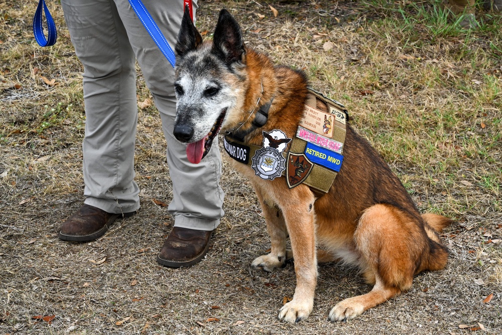 DVIDS - Images - The U.S. Military Working Dog Teams 10yr Anniversary ... DVIDS - Images - The U.S. Military Working Dog Teams 10yr Anniversary ...