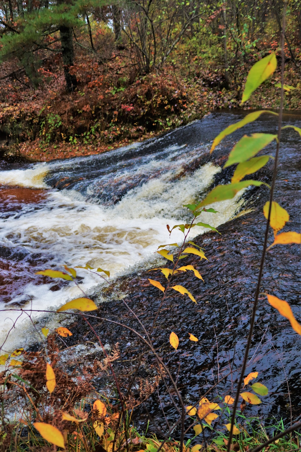 DVIDS - Images - Fall 2023 Scenes at Trout Falls at Fort McCoy's Pine ...