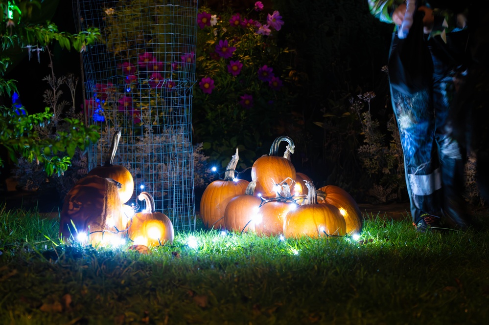 DVIDS - Images - Pathfinders join pumpkin patrol for Halloween [Image 3 ...
