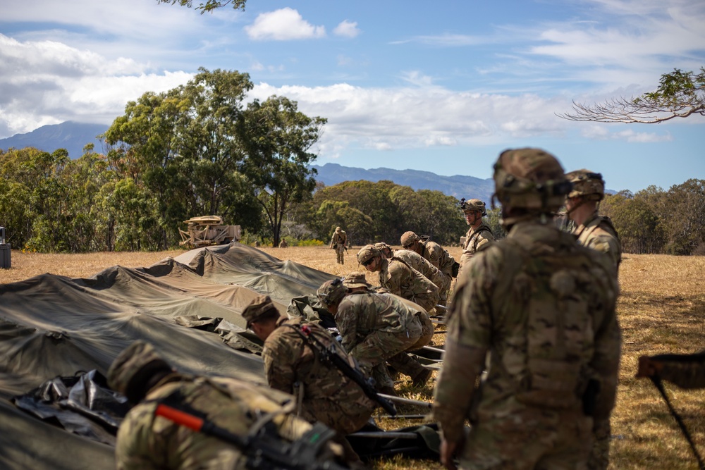 DVIDS - Images - 25th Combat Aviation- JPMRC 24-01 [Image 7 of 11]