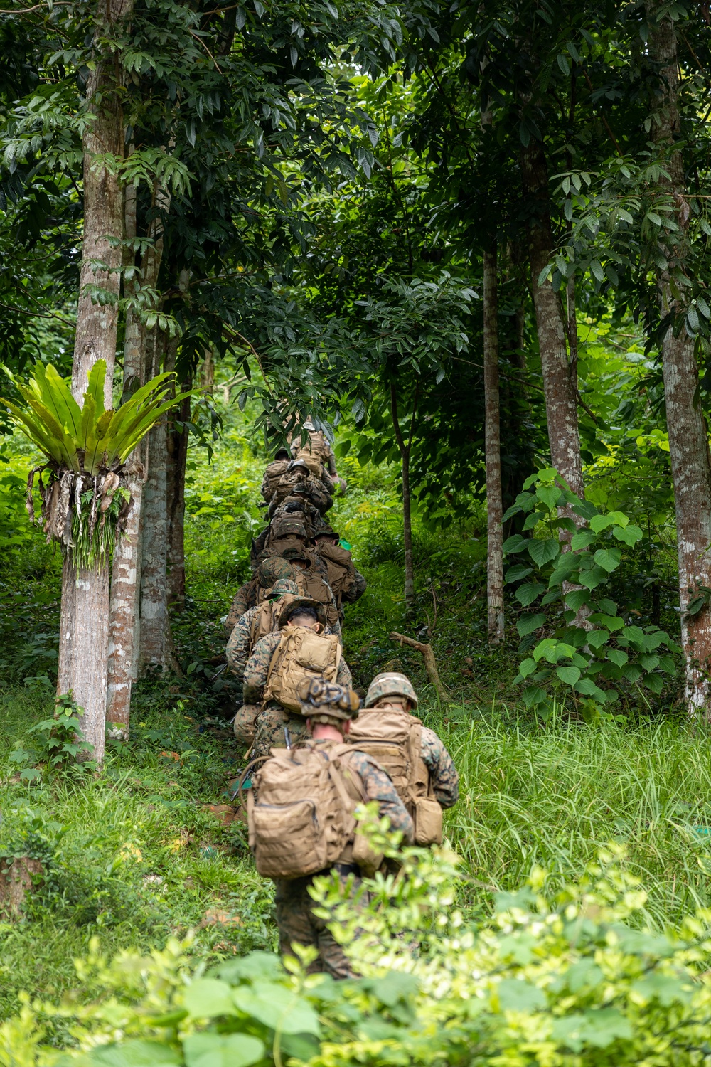 DVIDS - Images - KAMANDAG 7: MRF-SEA Marines complete Jungle Survival ...