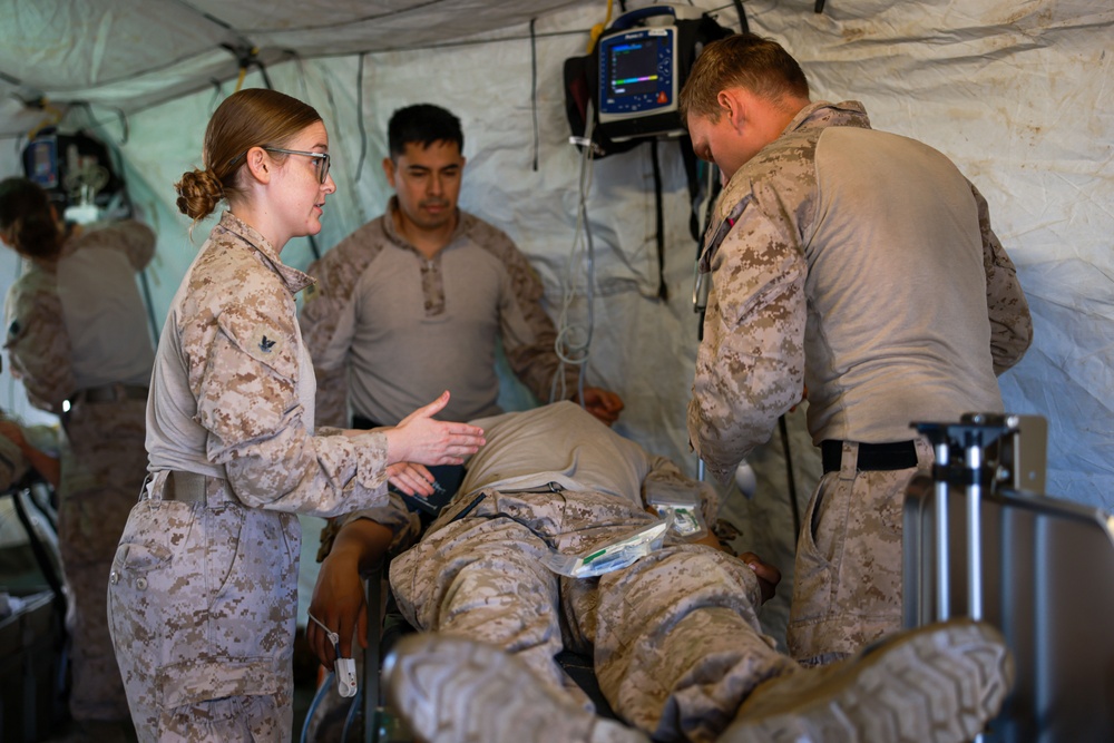 DVIDS - Images - BLT 1/5, CLB-15 integrate for Mass Casualty Training ...