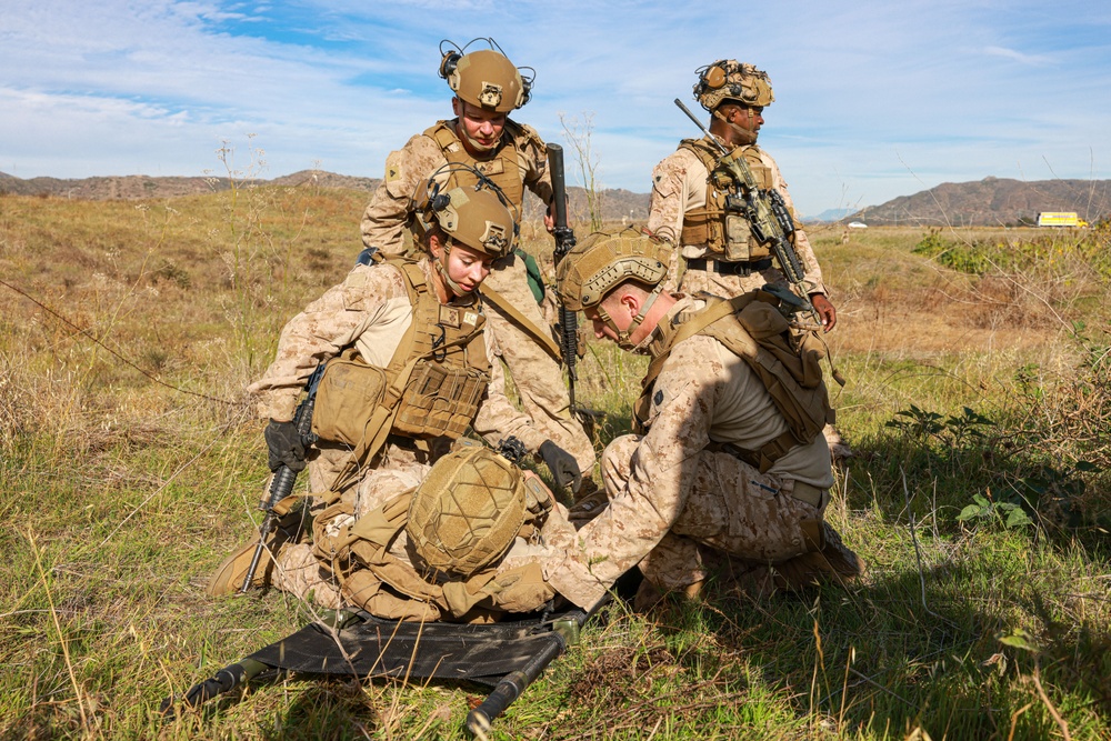 DVIDS - Images - BLT 1/5, CLB-15 integrate for Mass Casualty Training ...