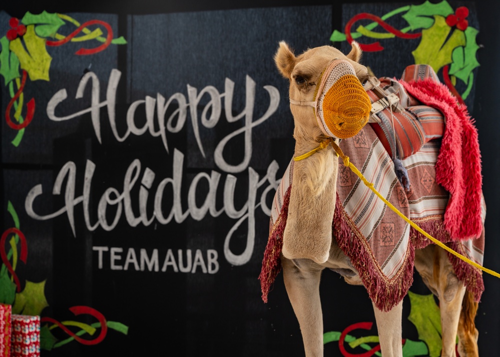 DVIDS - Images - Camels and Falcons [Image 1 of 3]