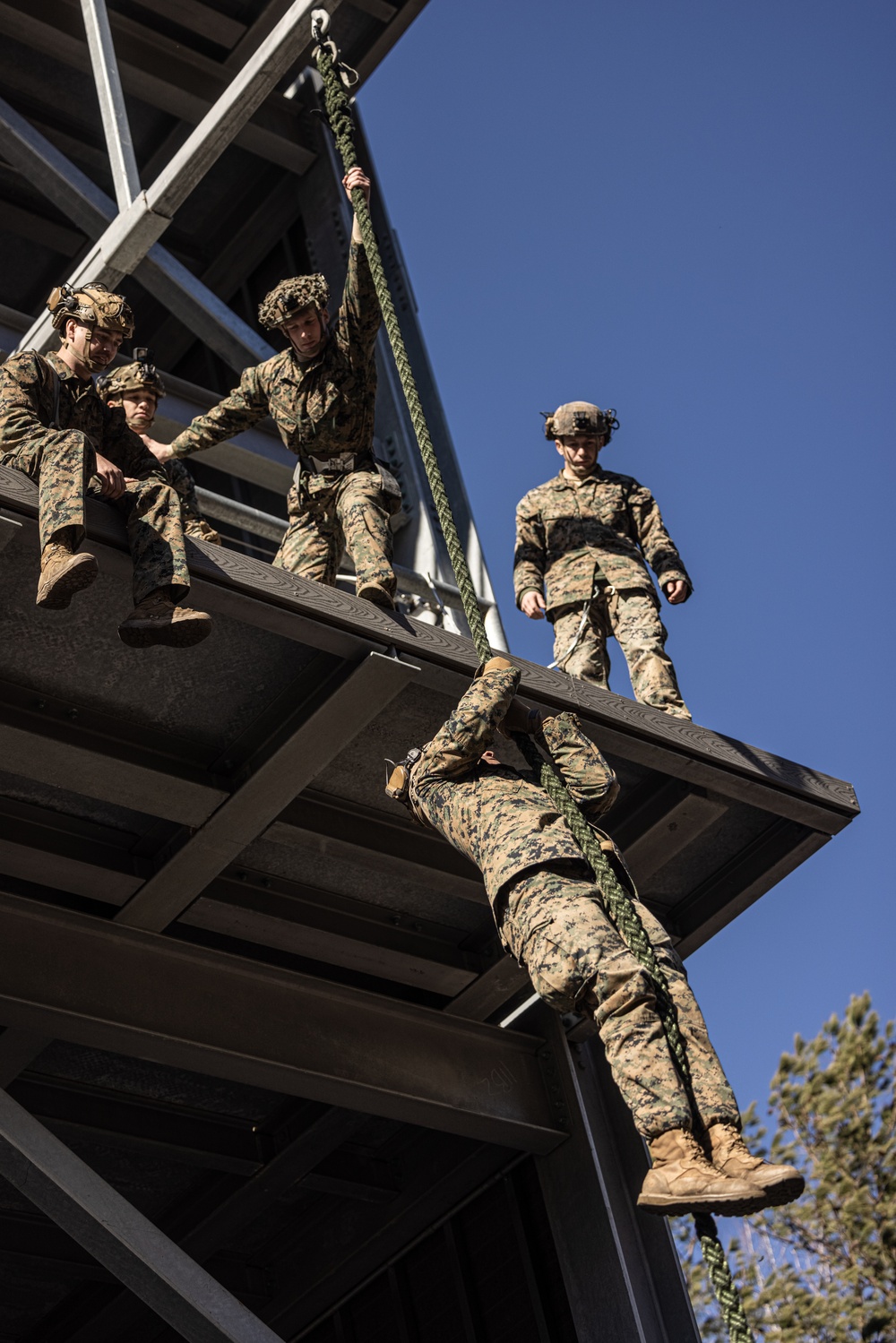 DVIDS - Images - Charlie Co., BLT 1/8 Fast Rope Certification [Image 8 ...